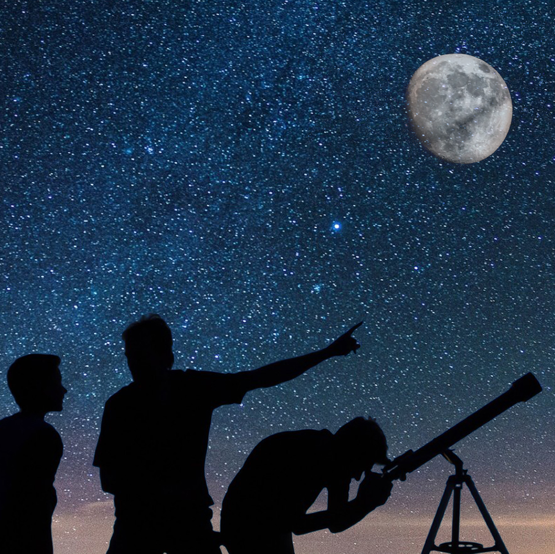 Home | Carnegie Museums of Pittsburgh