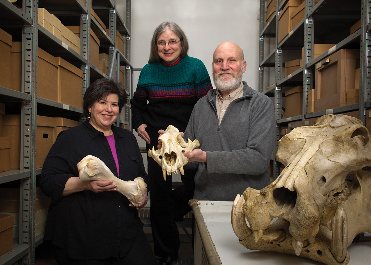 Call of the Wild - Carnegie Magazine