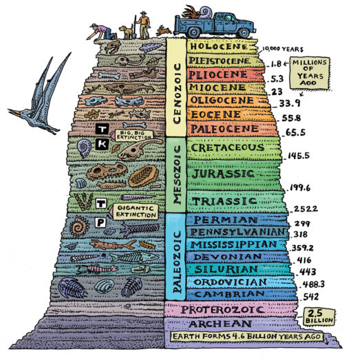 Earth in the Age of Humans - Carnegie Magazine