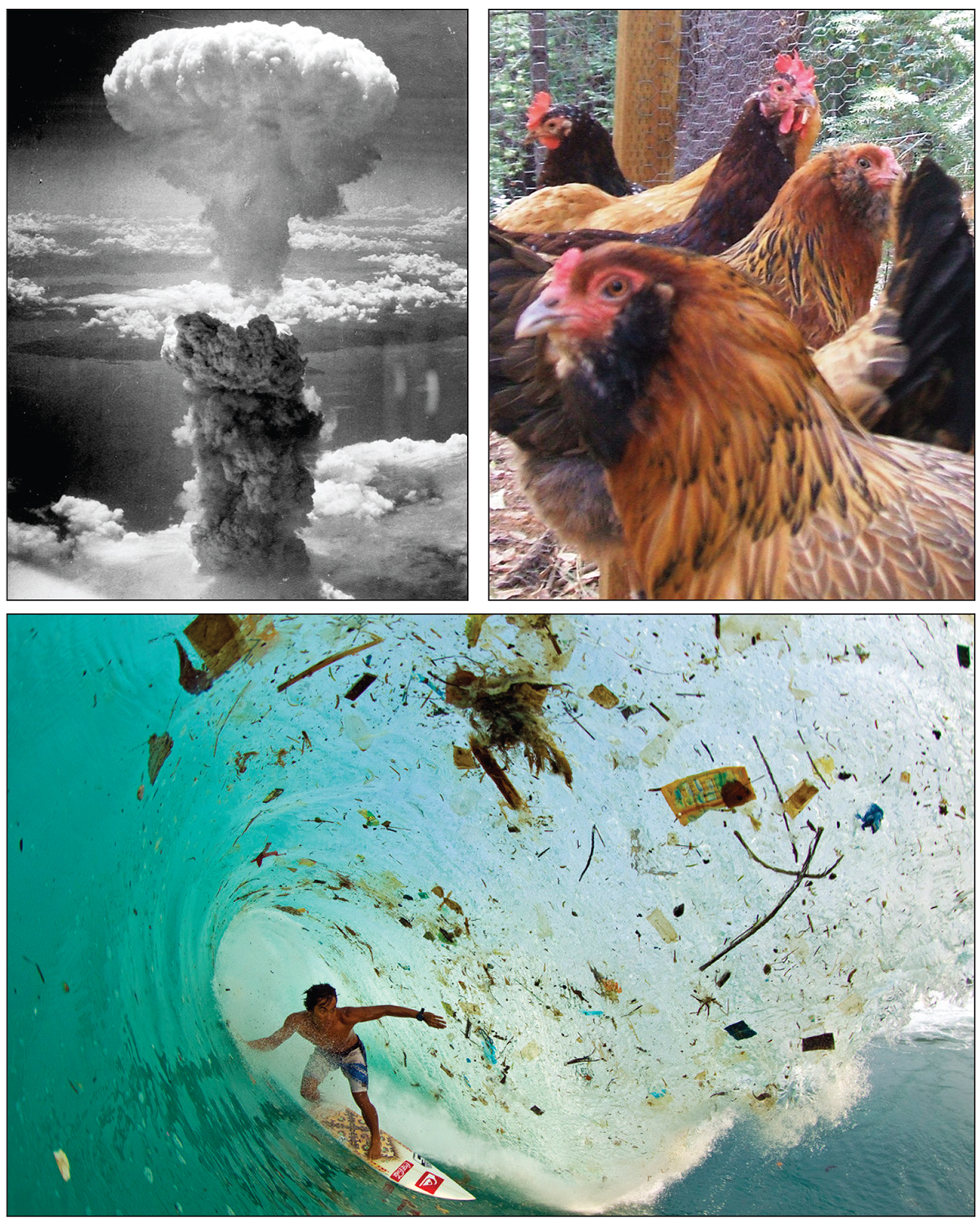 Earth in the Age of Humans - Carnegie Magazine