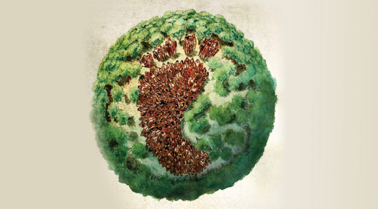 Earth in the Age of Humans - Carnegie Magazine